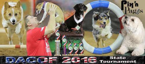 DACOF 2016 Dog Agility Photographs - Event Galleries - Pix 'n Pages ...