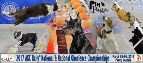 AKC Rally National Championship 2017 Photos - Event Galleries - Pix 'n ...